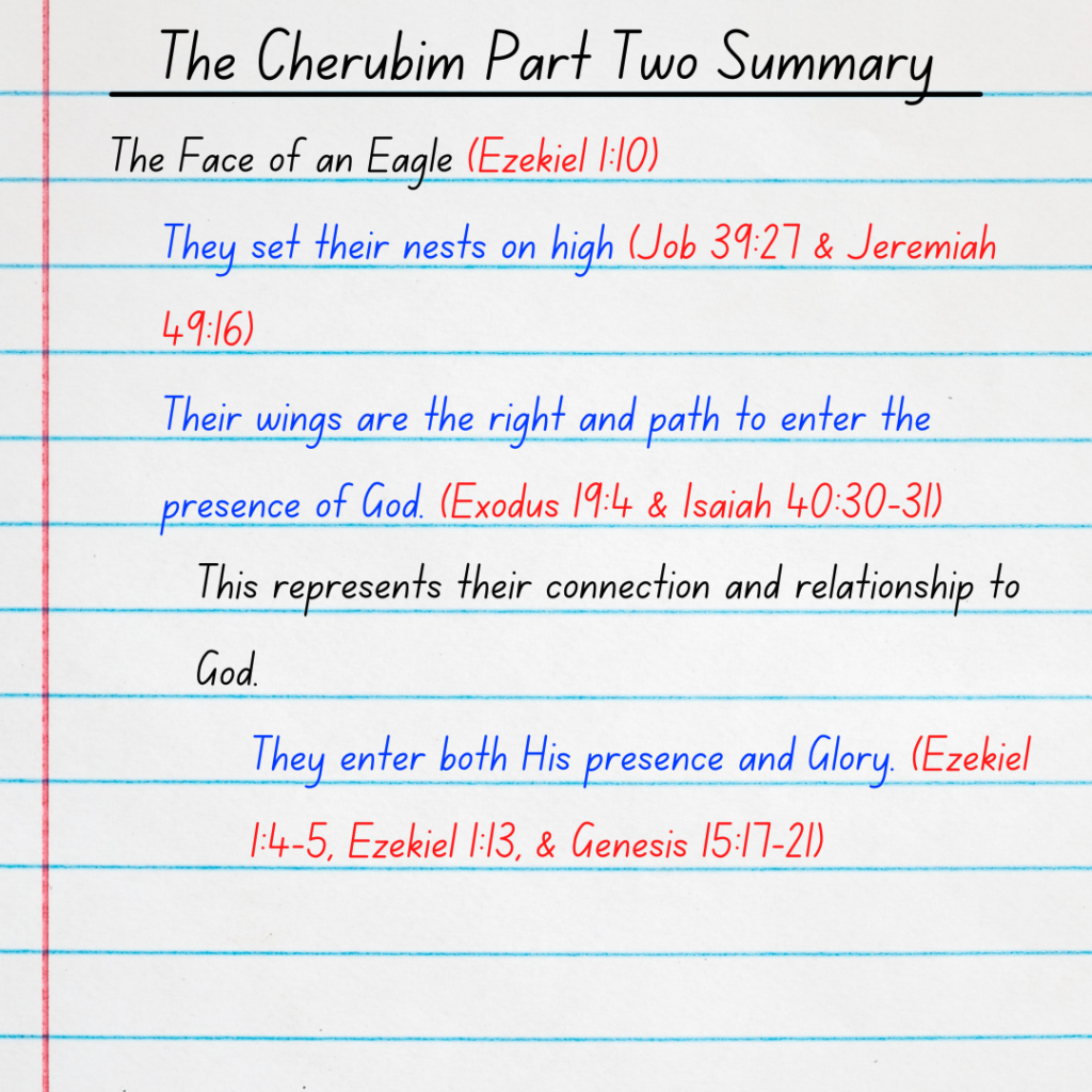 What are the Cherubim? Pt. 2: The Face of an Eagle and Ox - HoldToHope