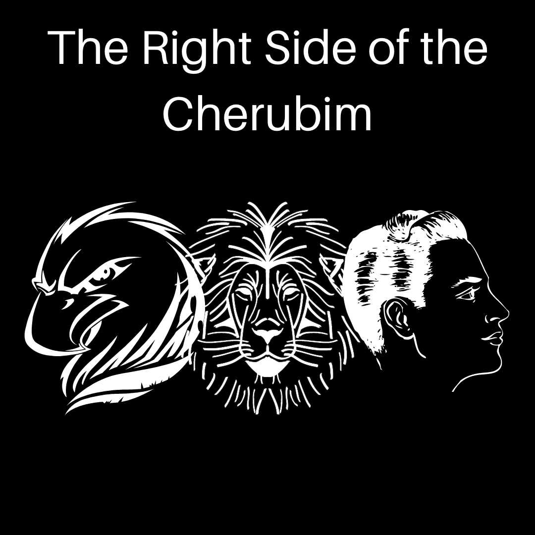 What are the Cherubim? Pt. 4: The Face of a Lion and Their Four Wings ...