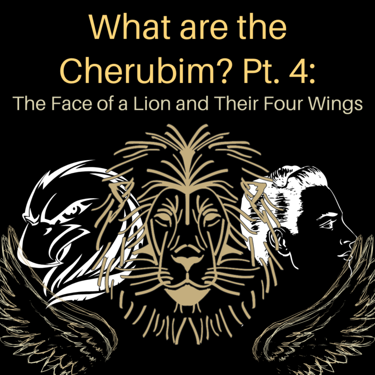 What are the Cherubim? Pt. 4: The Face of a Lion and Their Four Wings ...