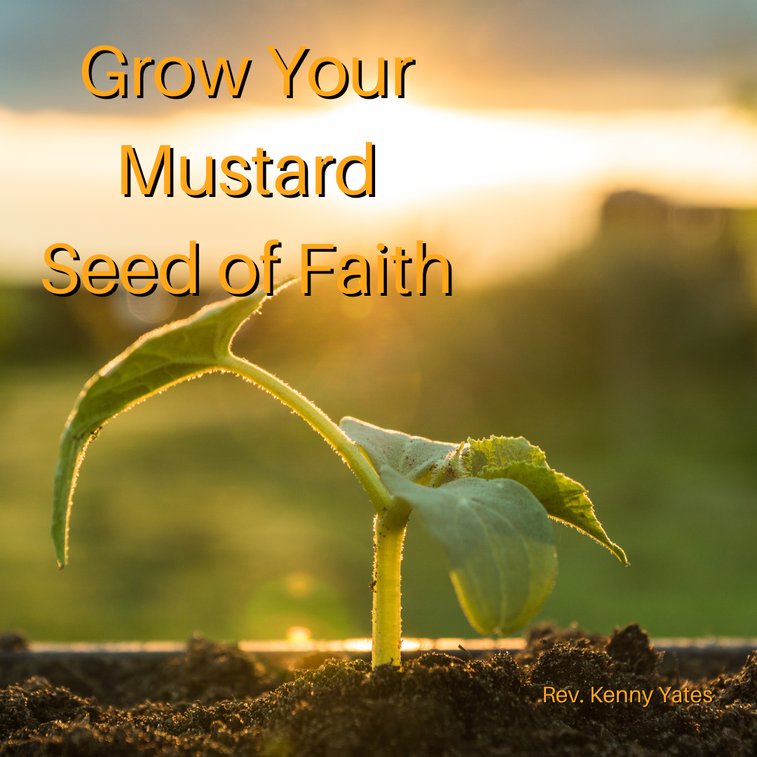 Grow Your Mustard Seed Of Faith HoldToHope Grow Your Mustard Seed Of Faith HoldToHope