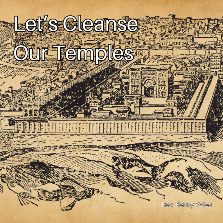 Let’s Cleanse Our Temples - HoldToHope