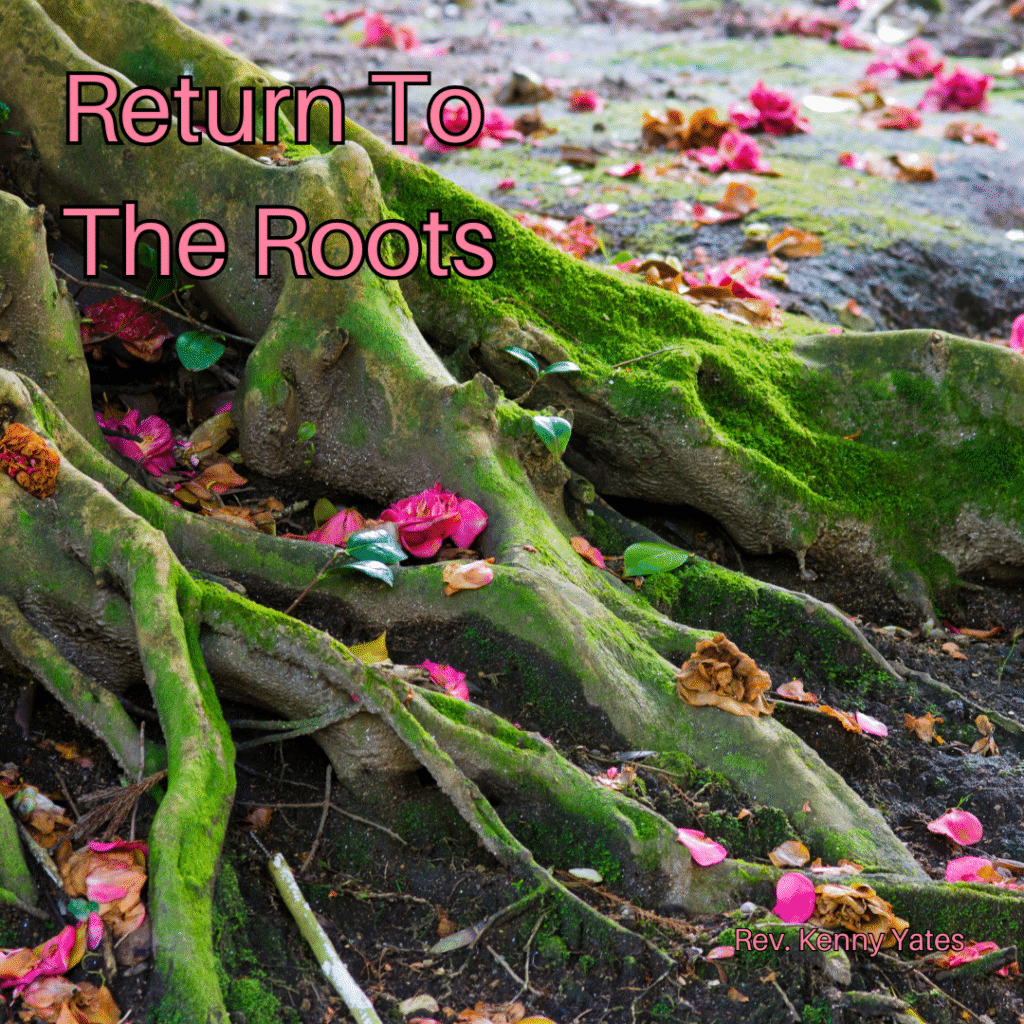 Return To The Roots - HoldToHope